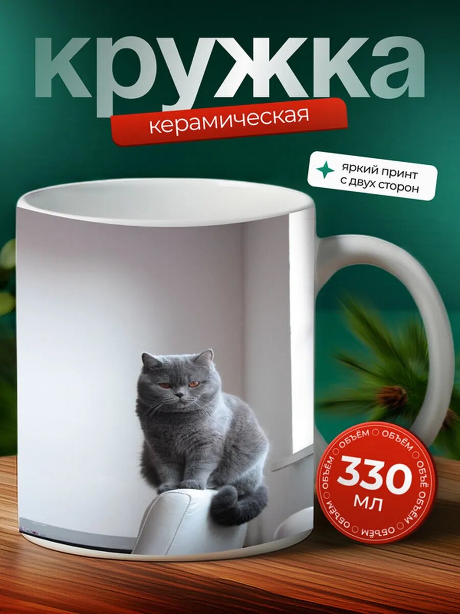 Кружка Британский серебристый кот 2,