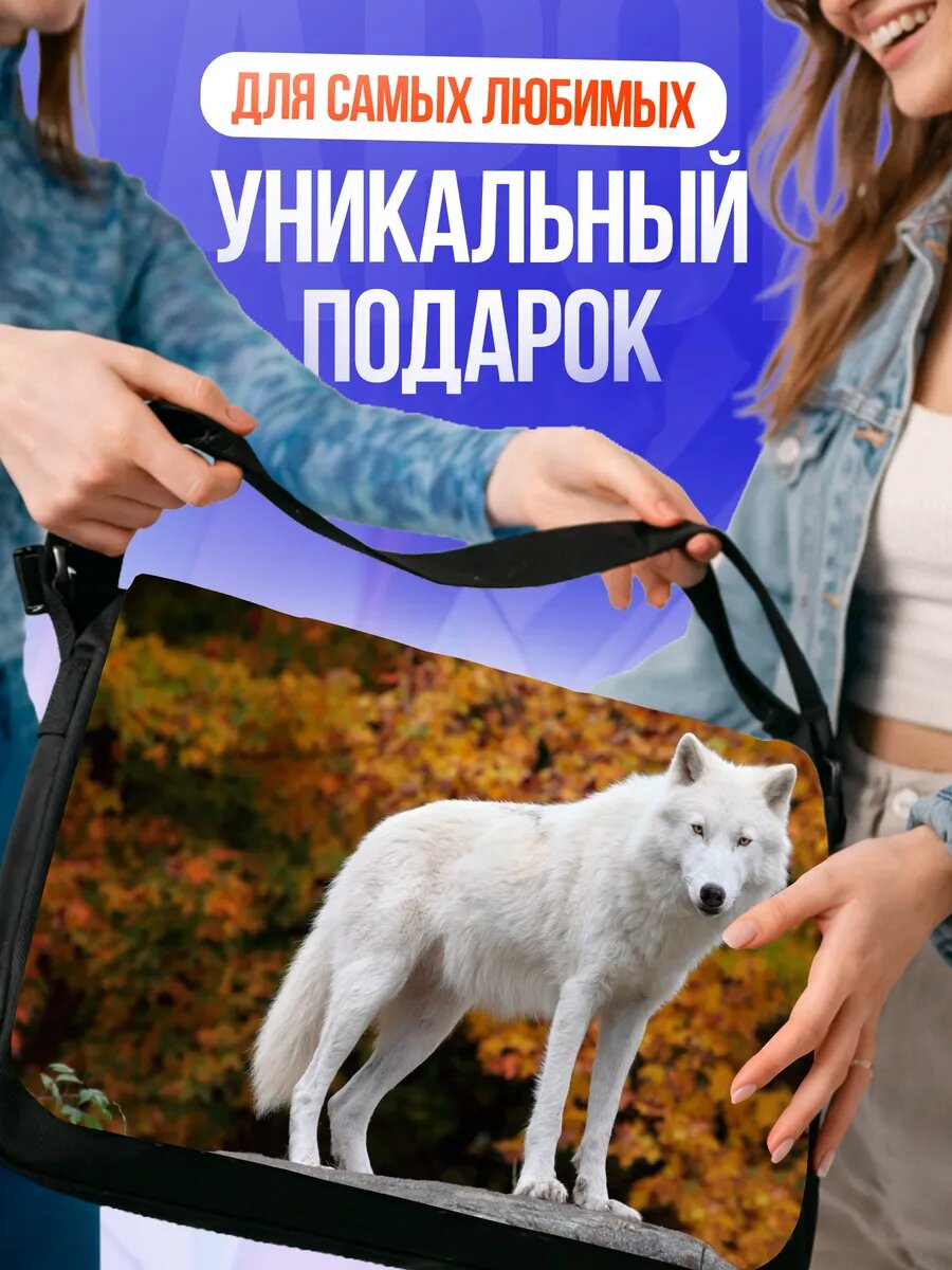 Сумка кросс-боди , черный — фото 1