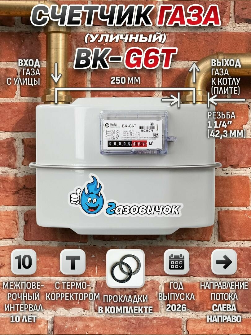 Счетчик газа ВК-G6Т с Термокорректором Слева-Направо (Левый) 2026 г. Раско Газэлектроника. Прокладки в комплекте