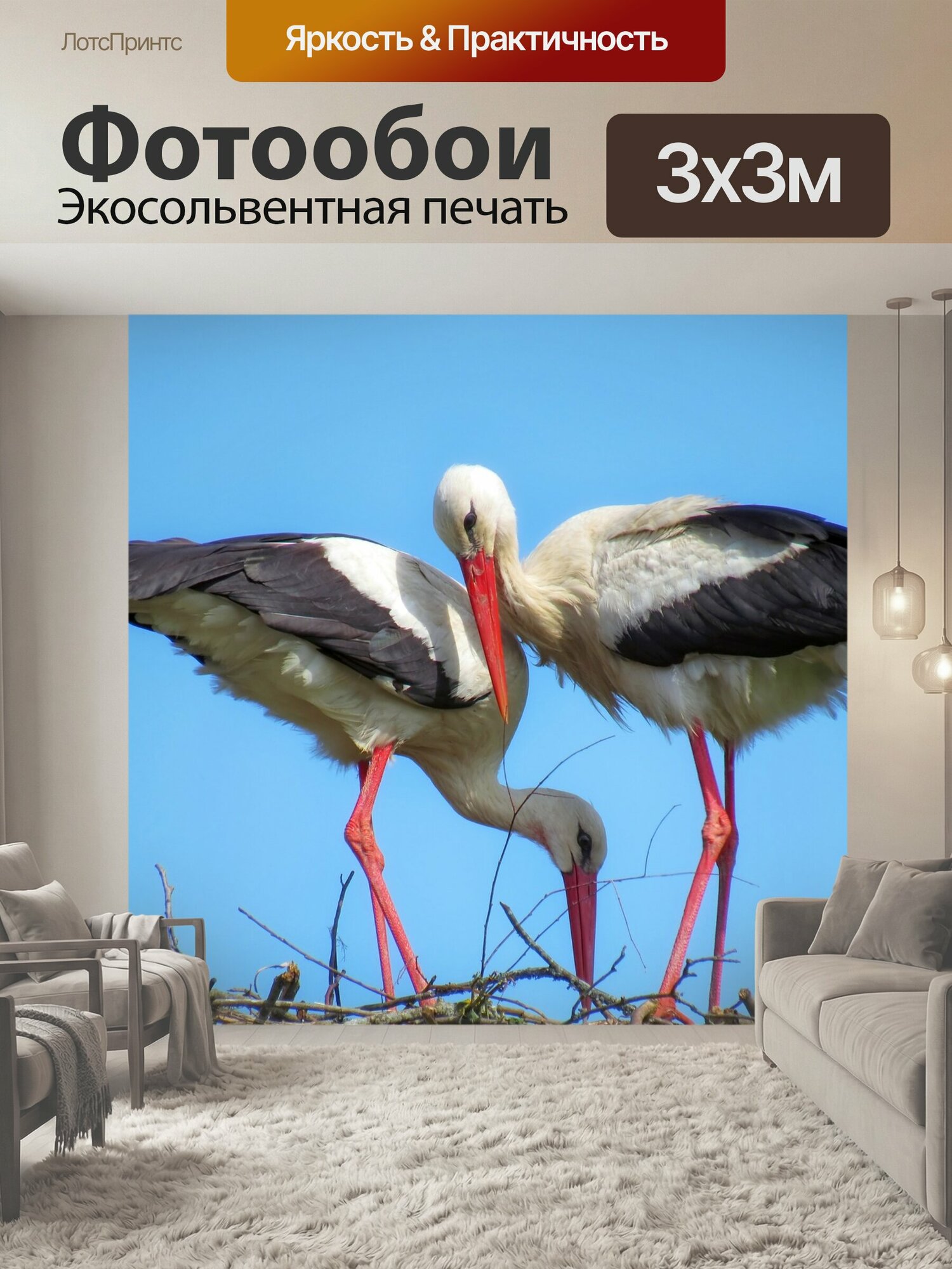 Фотообои "Аист, птицы, пернатые" 300x300 см. экосольвентная печать
