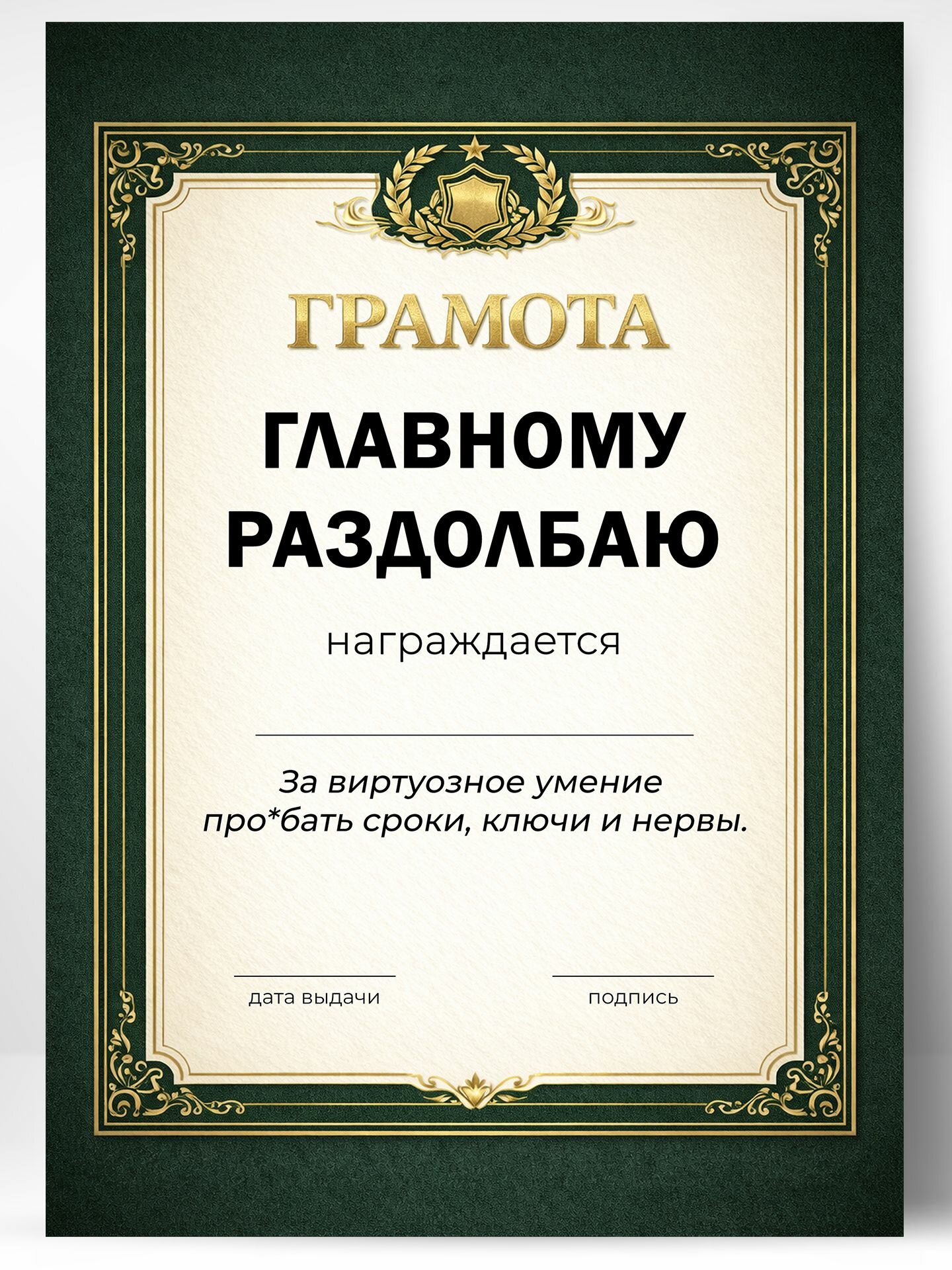 Прикольная грамота, диплом для другу - главному раздолбаю