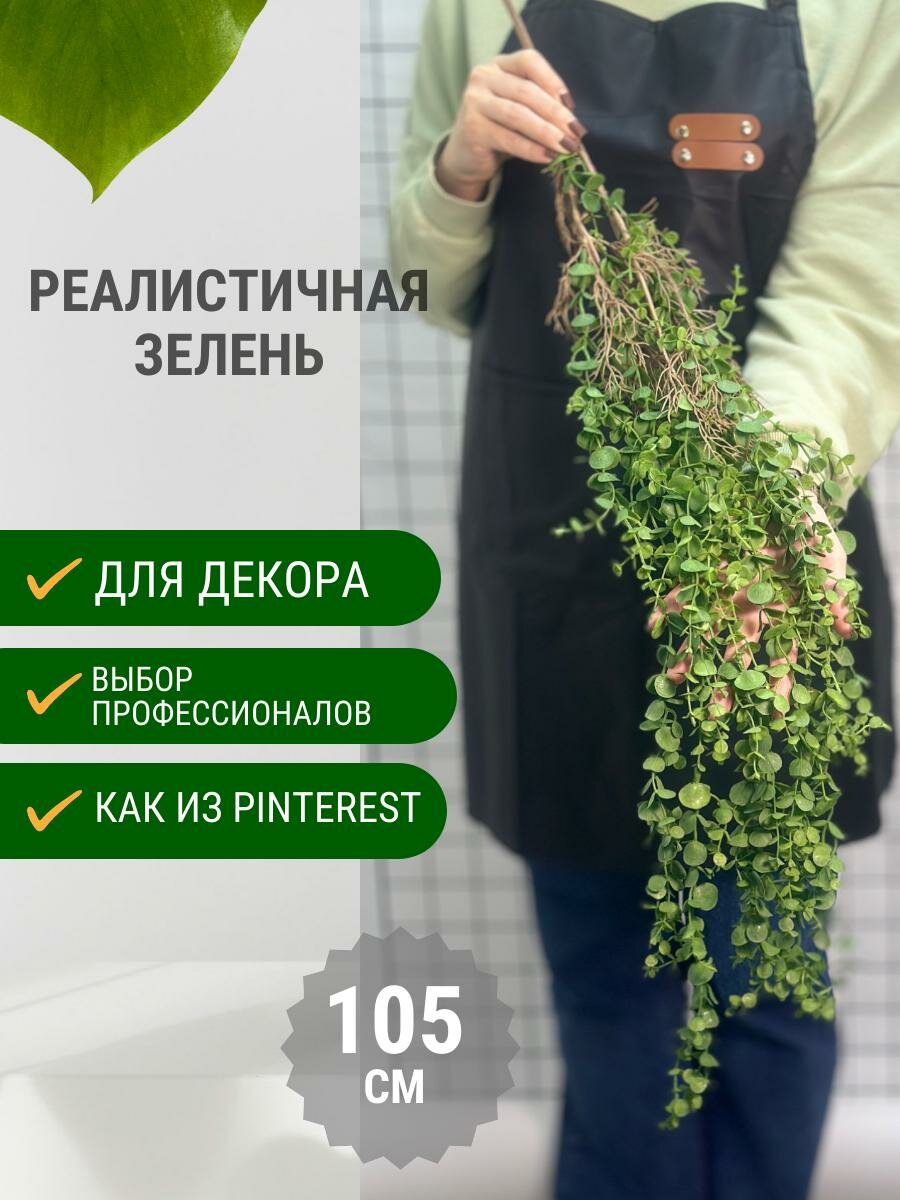 Искусственная зелень, ампельная, свисающая лиана (Эвкалипт с корнями 105) "TREE_VN"