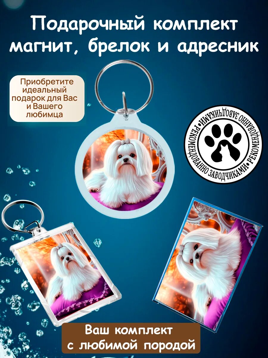 Подарочный комплект магнит брелок адресник