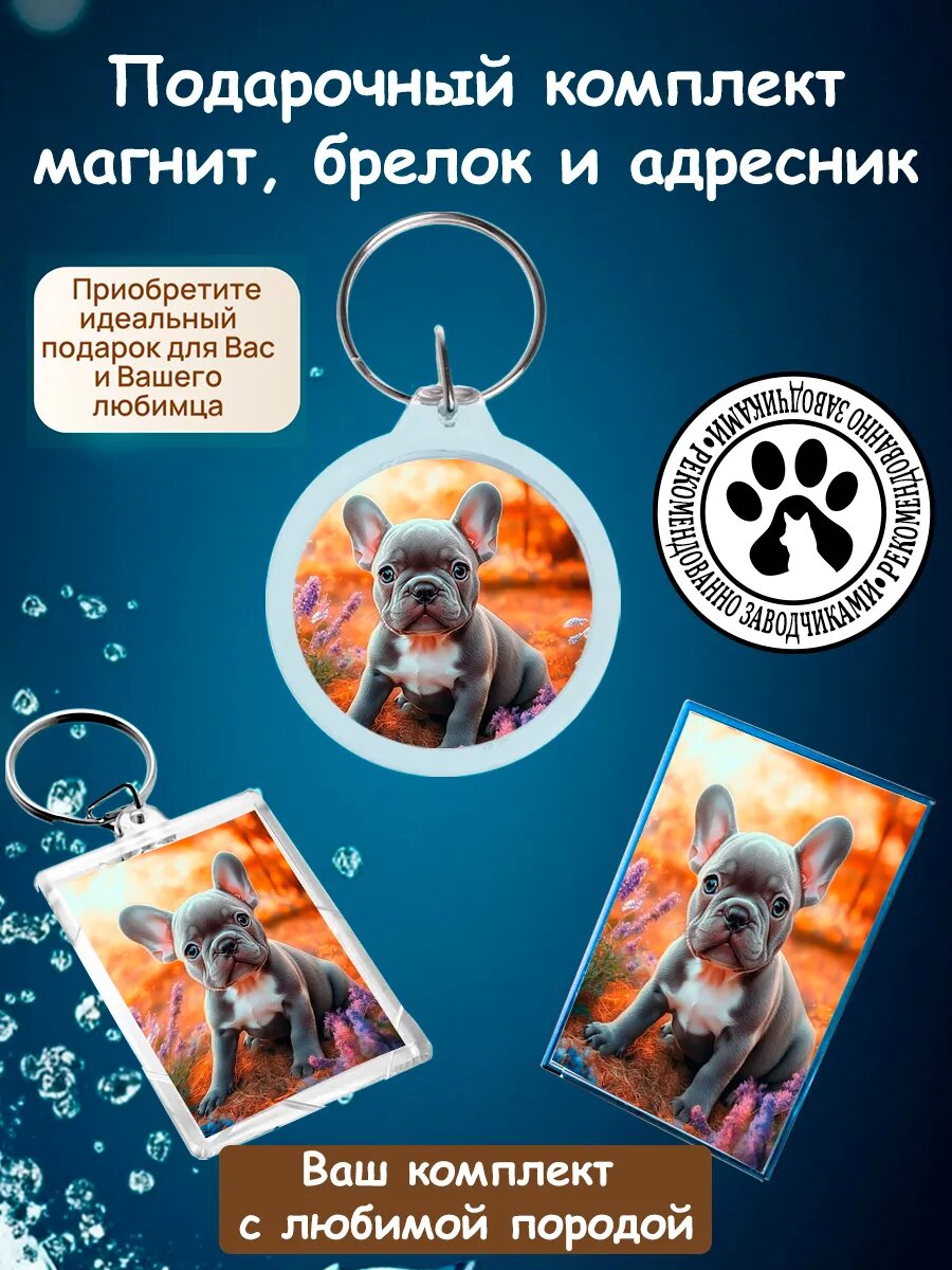 Подарочный комплект магнит брелок адресник