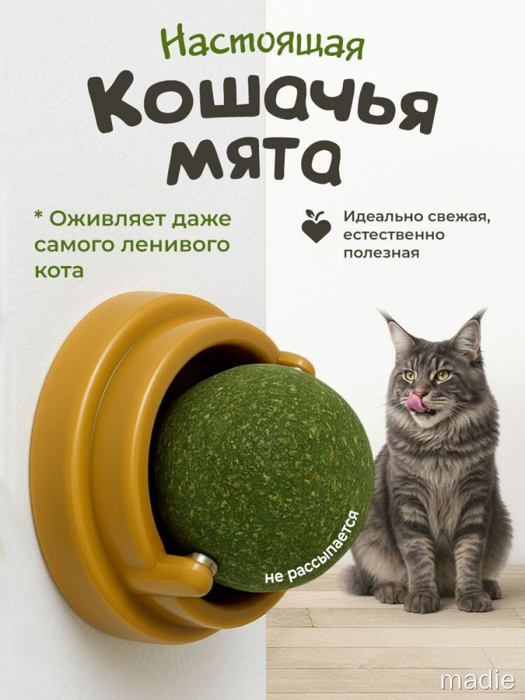 Шарик с кошачьей мятой, жёлтый настенный держатель, не рассыпается, для всех кошек. Игрушка.