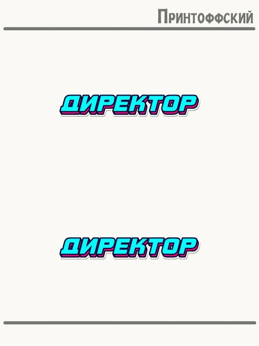 2-е (Две) Термонаклейки надпись прикол директор