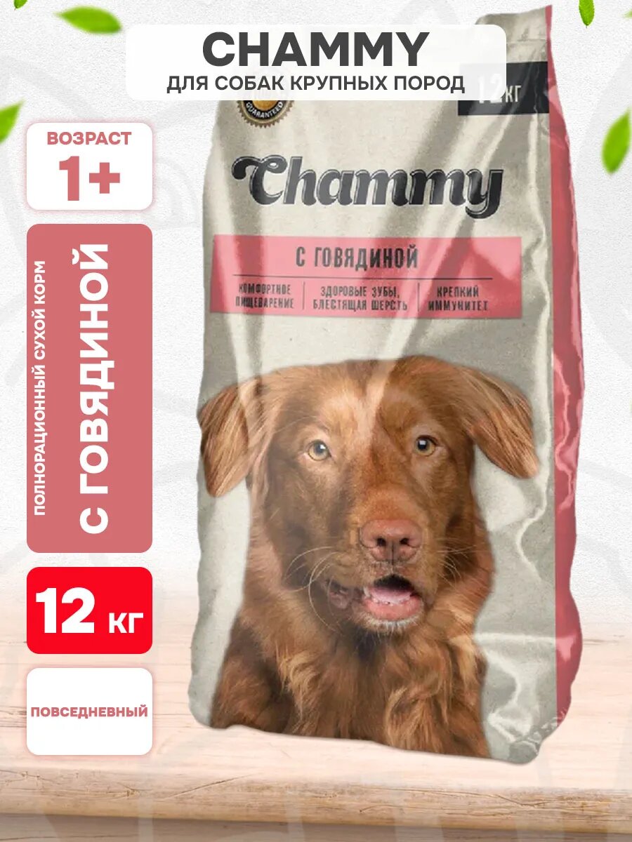Корм сухой Chammy для взрослых собак крупных пород, говядина, 12 кг