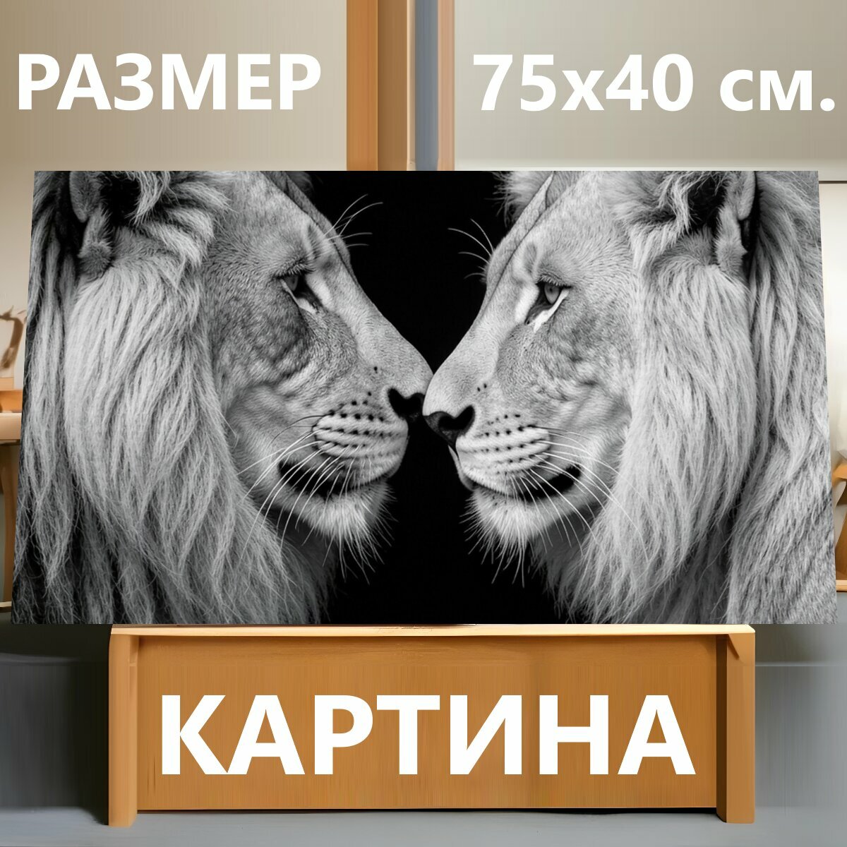Картина на холсте "Два льва лицом к лицу. Чёрно-белая симметричная композиция с парой величественных хищников на тёмном фоне. Крупный план." на подрамнике 75х40 см. для интерьера
