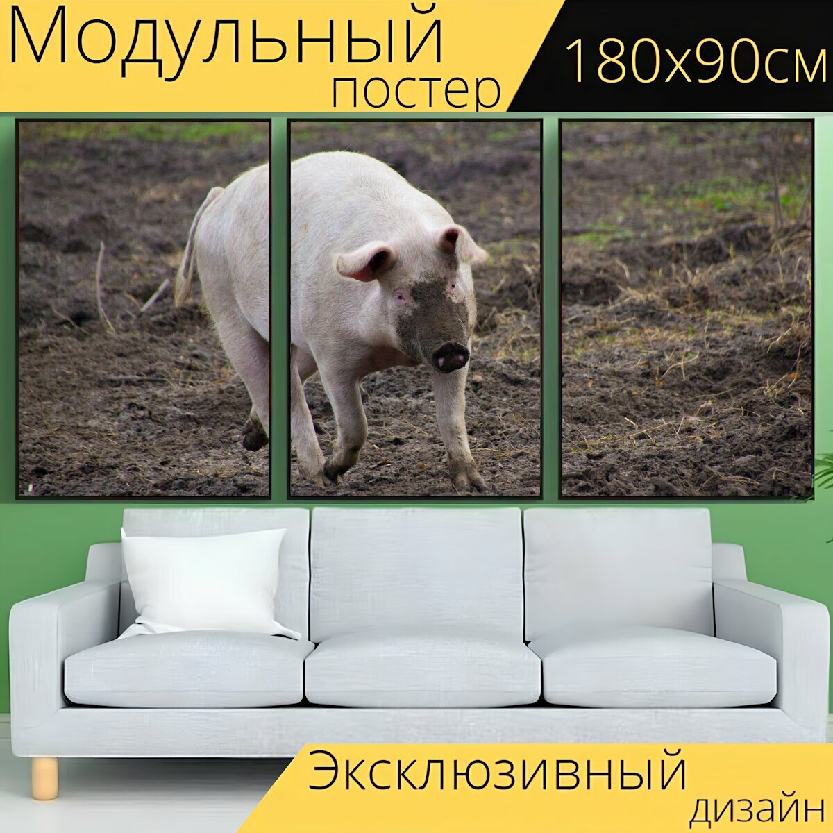 Модульный постер "Свинья, фермерский двор, грязный" 180 x 90 см. для интерьера на стену в тубусе