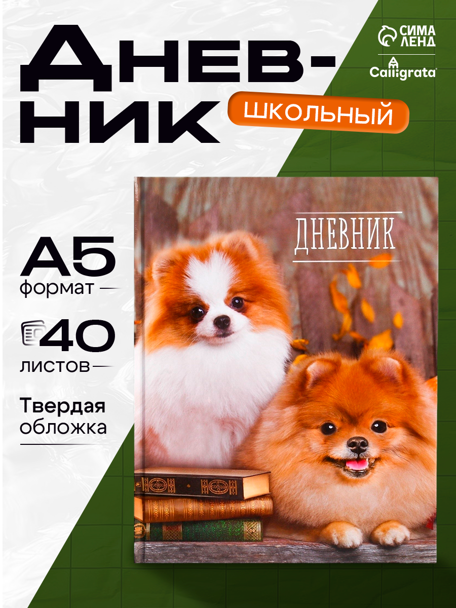Дневник школьный для 1-11 классов, «Шпиц», твёрдая обложка 7БЦ, глянцевая ламинация, 40 листов