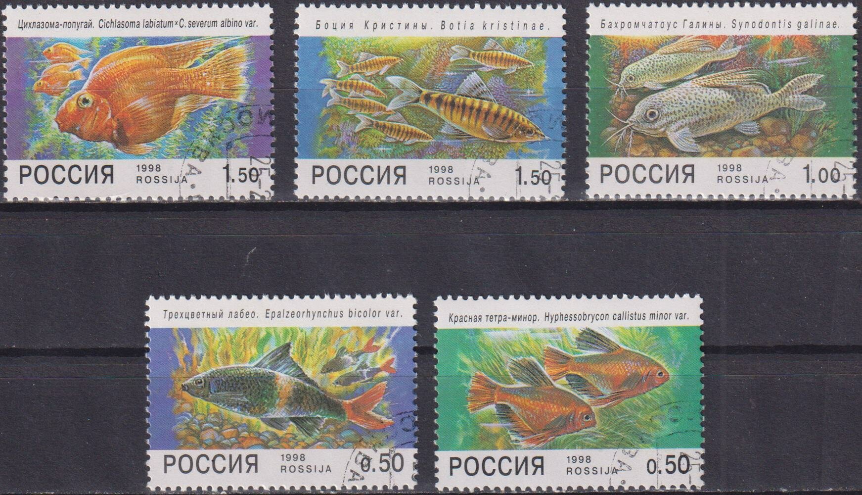 Почтовые марки Россия 1998г. "Фауна Аквариумные рыбы" Рыбы U