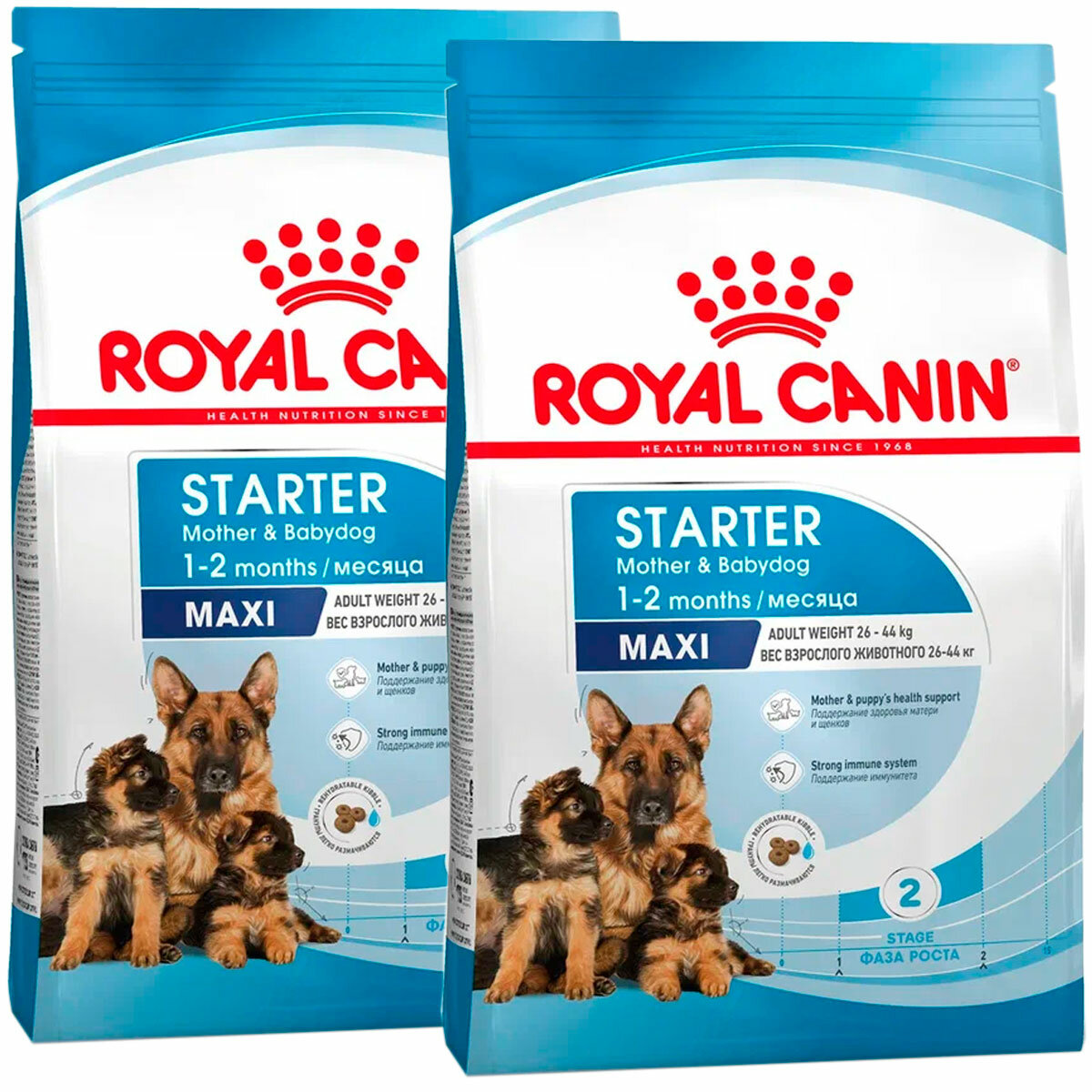 Корм сухой Royal Canin Maxi Starter для щенков крупных пород, до 2 месяцев, беременных и кормящих собак, 4 кг х 2 шт