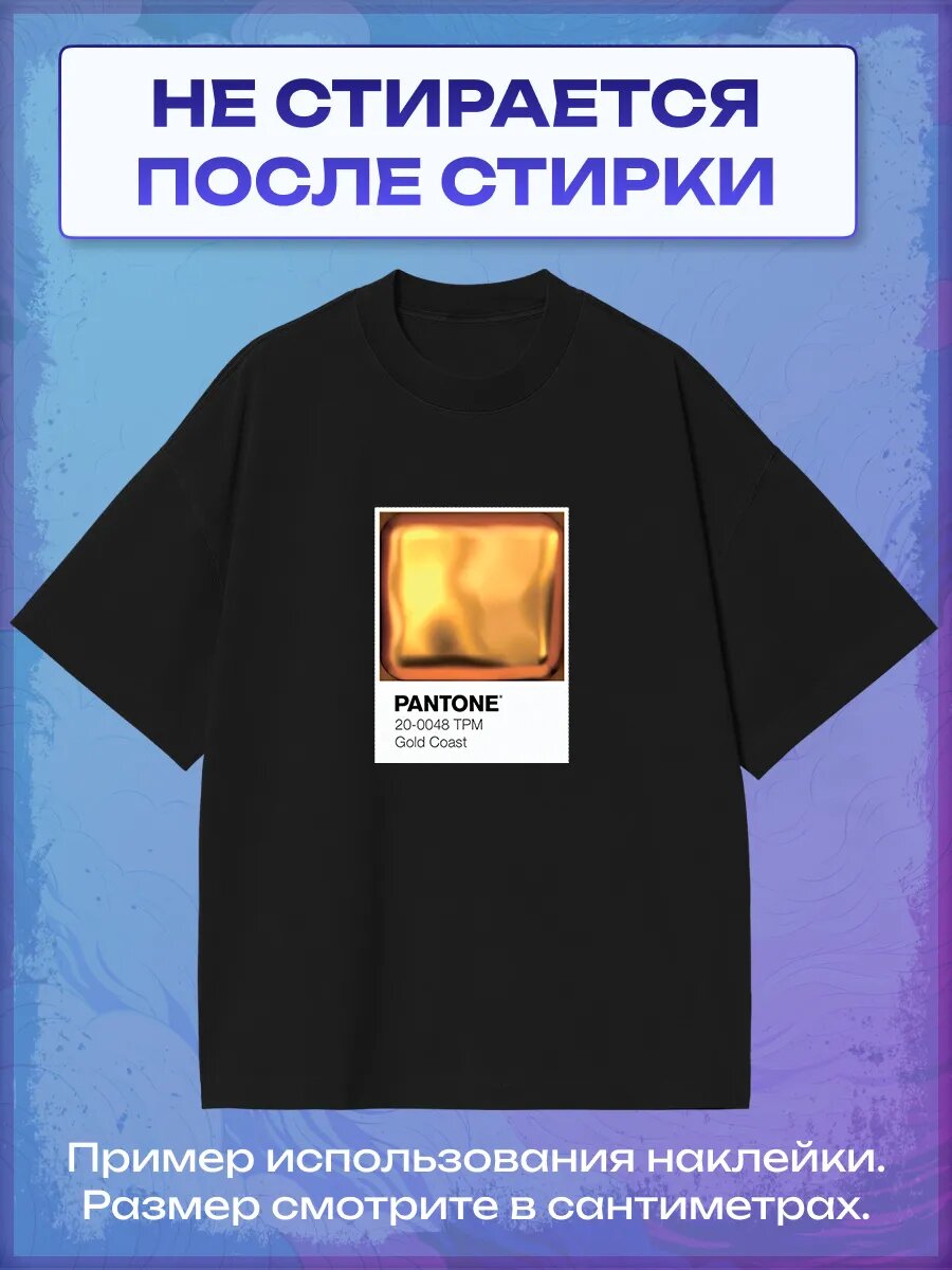 Термонаклейка pantone — фото 1