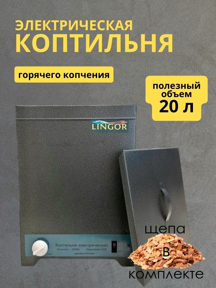 Электрическая коптильня горячего копчения со щепой