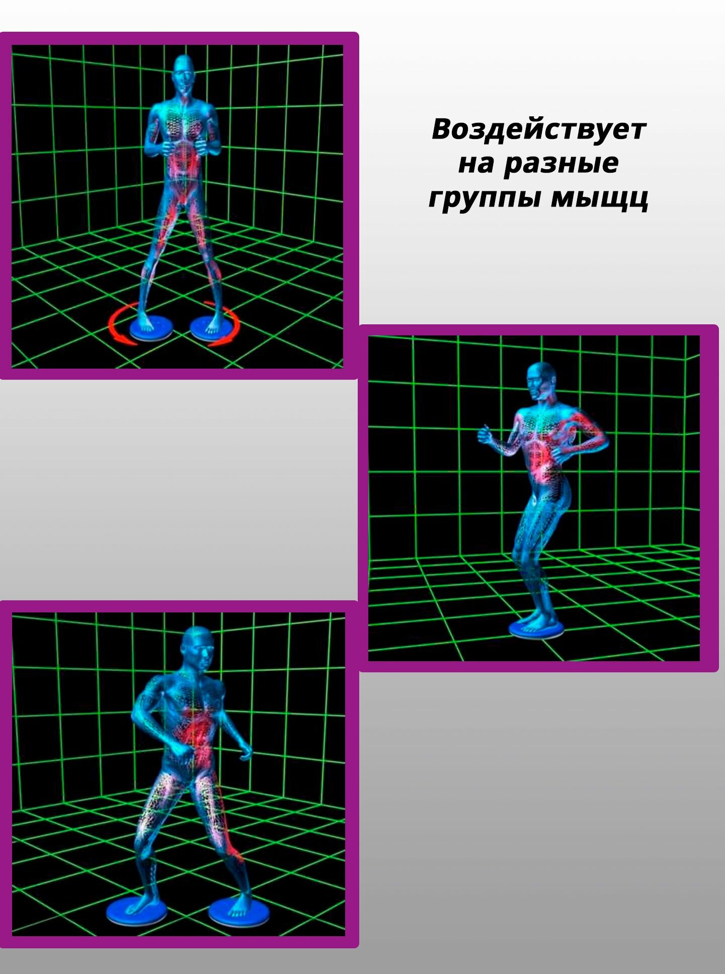 Hawk Диск здоровья — фото 1