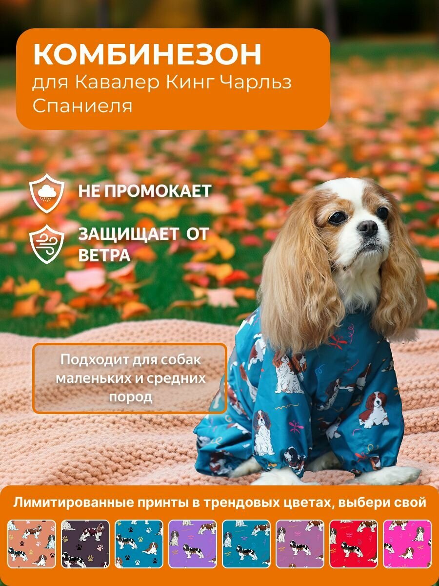 Лапуар Мода Комбинезон-дождевик для Кавалер Кинг Чарльз Спаниеля и собак мелких и средних пород