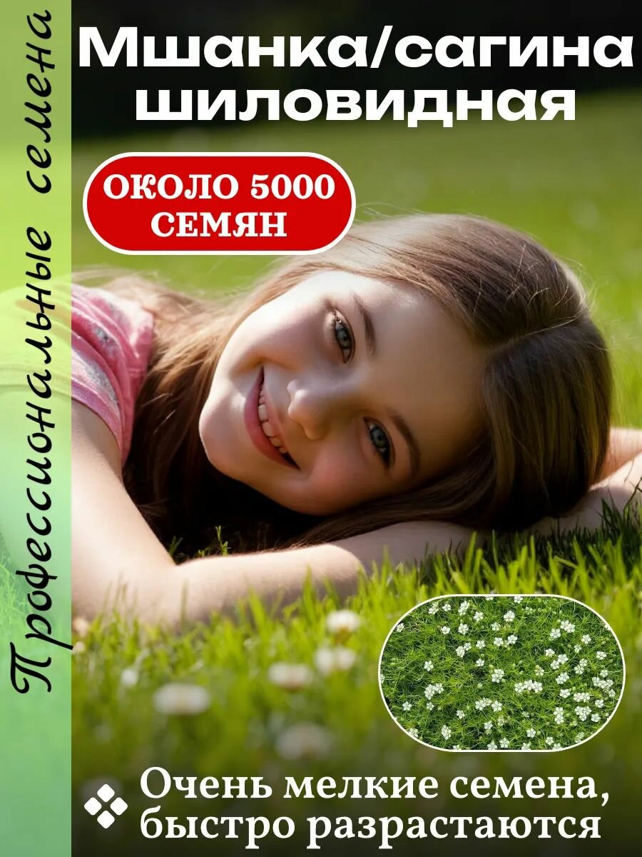 Семена Мшанка шиловидная Puzta 5000 семян
