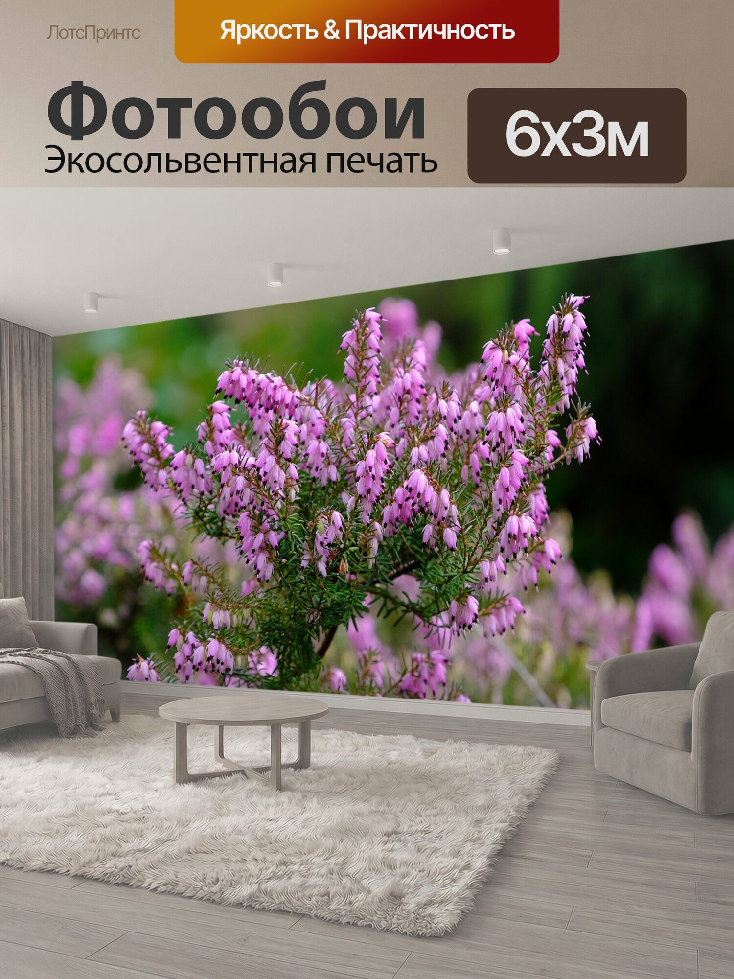 Фотообои "Эрика, вереск, природа" 600x300 см. экосольвентная печать