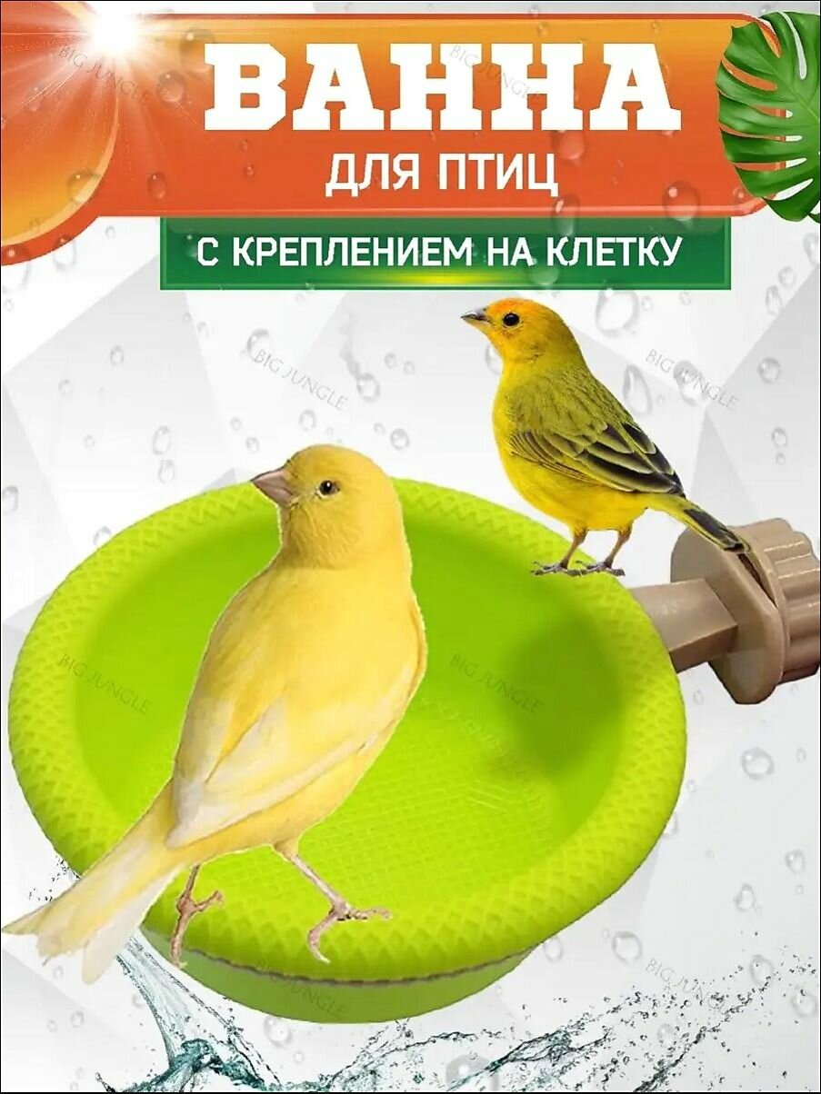 Купалка ванночка подвесная для волнистых попугаев и птиц зеленая,12*4.2cm