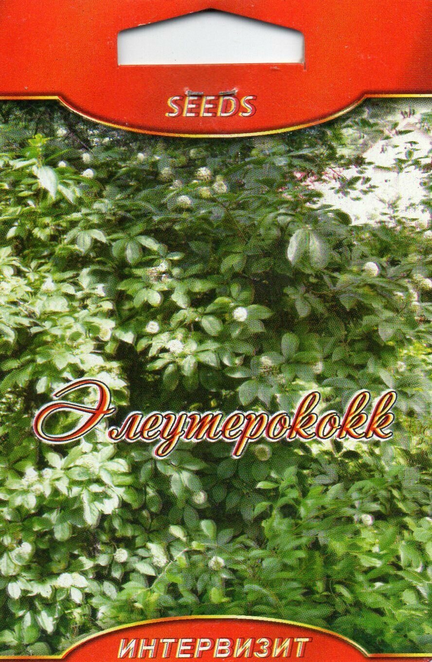 Элеутерококк семена