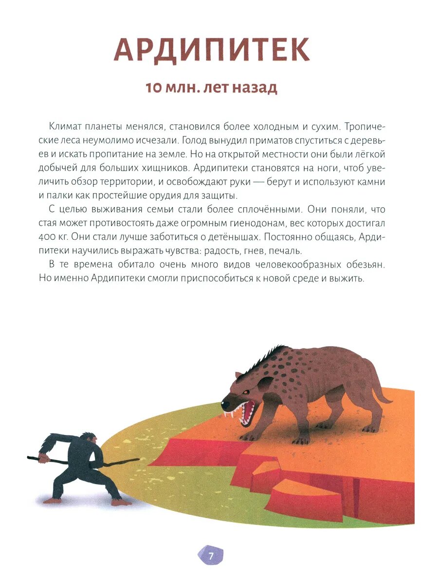 Эволюция человека — фото 1