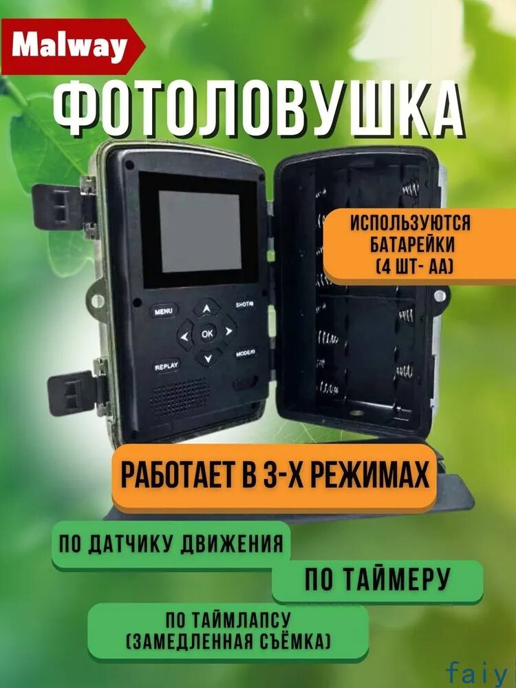 Фотоловушка — фото 1