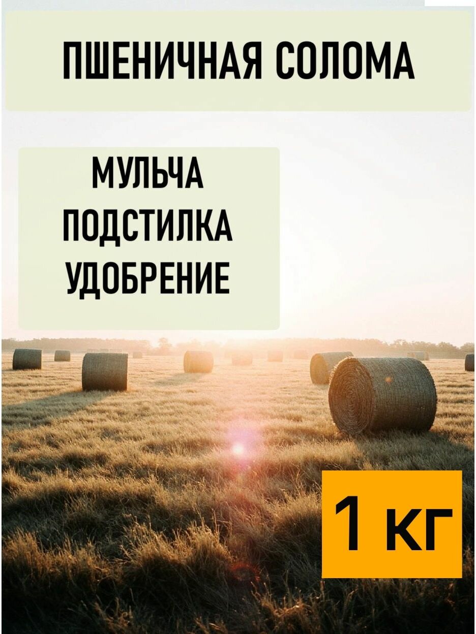 Cолома, мульча для сада, подстилка в будку для собак зимняя 1 кг