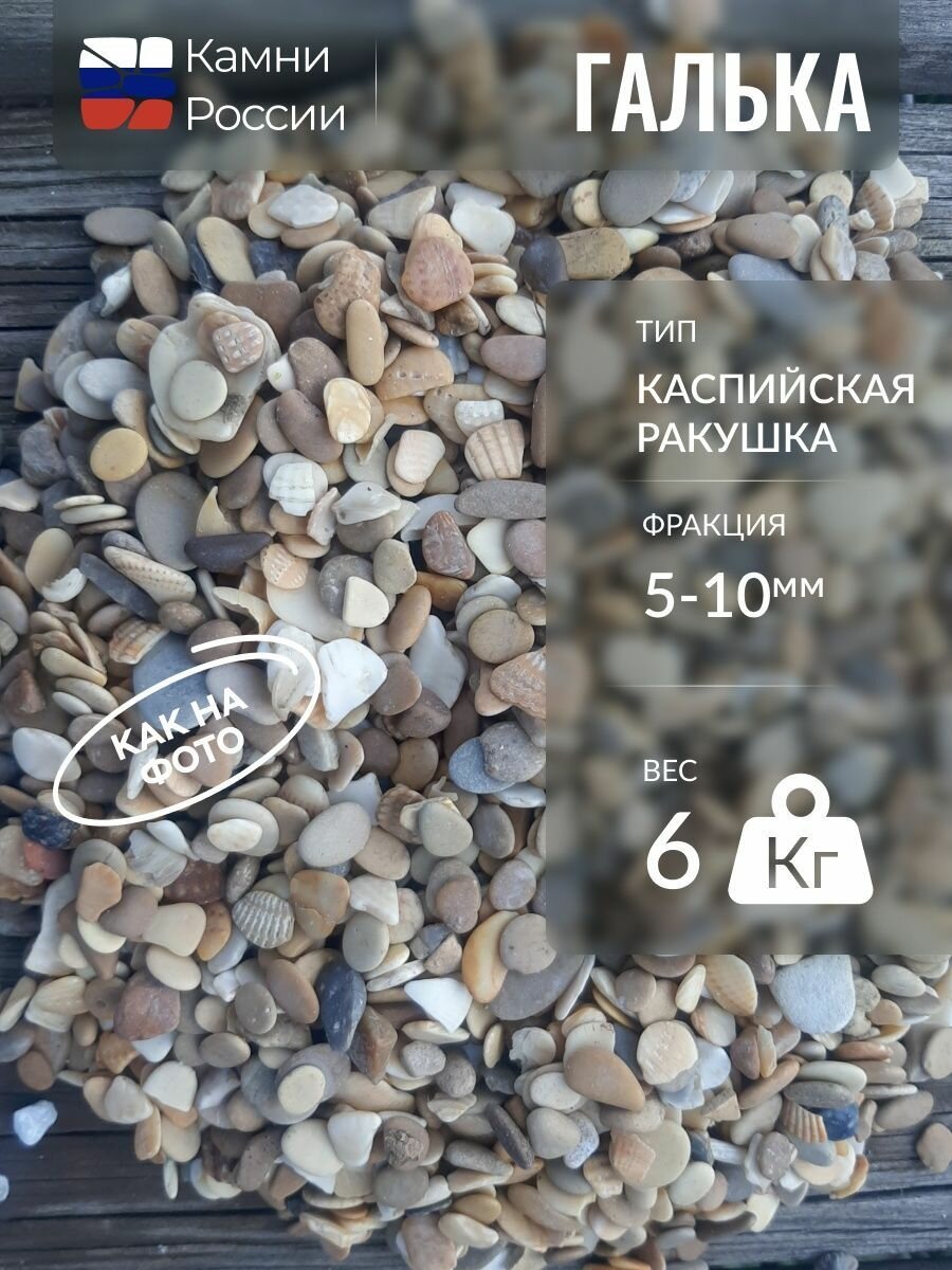 Галька "Каспийская ракушка" (5-10мм, 6кг)