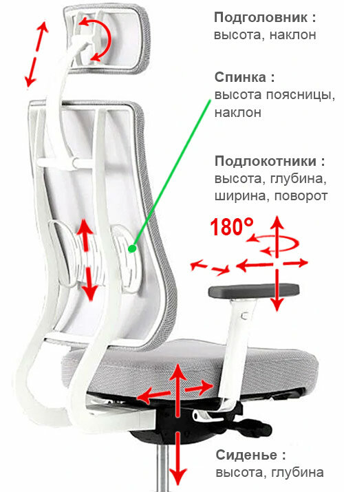 Ортопедическое кресло для работы программиста Falto X-Trans GY