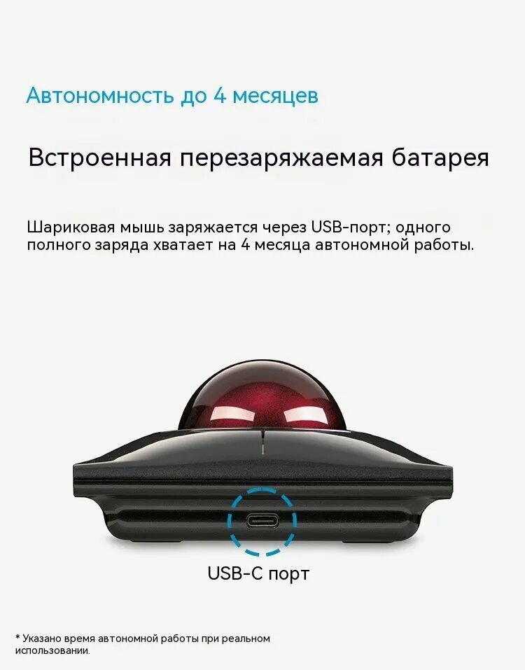 Мышь, белый — фото 1