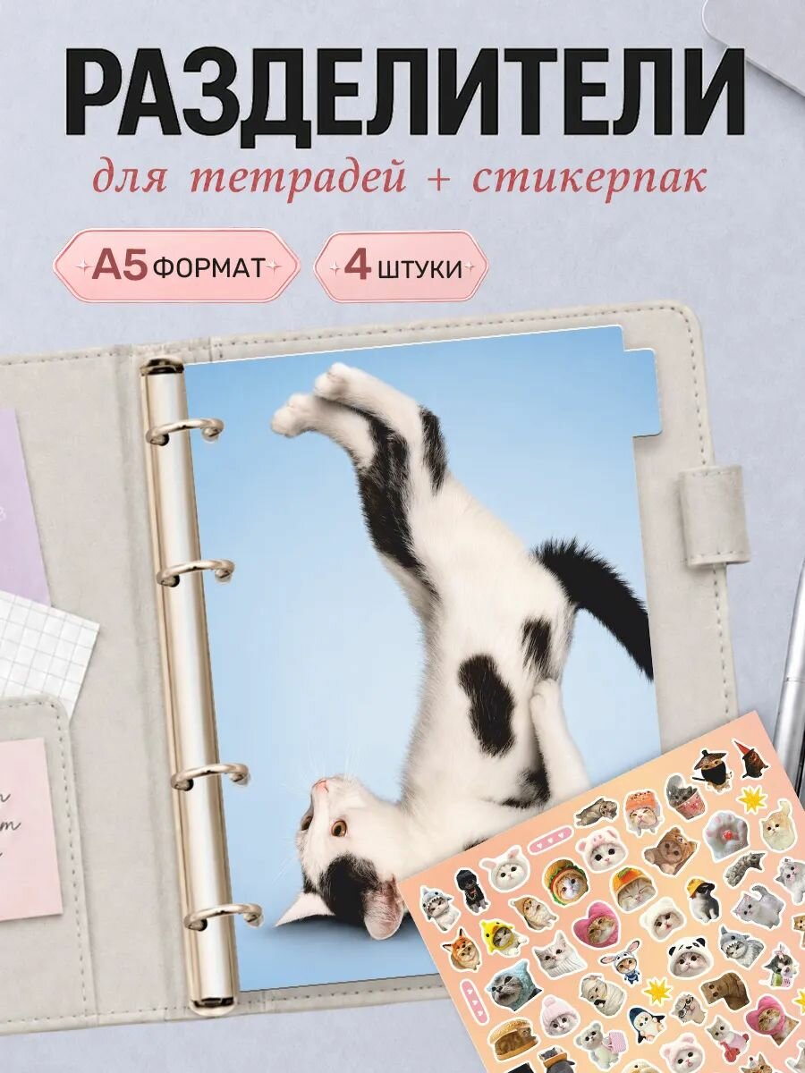 Разделитель А5 и наклейки набор канцелярии Мемные котята