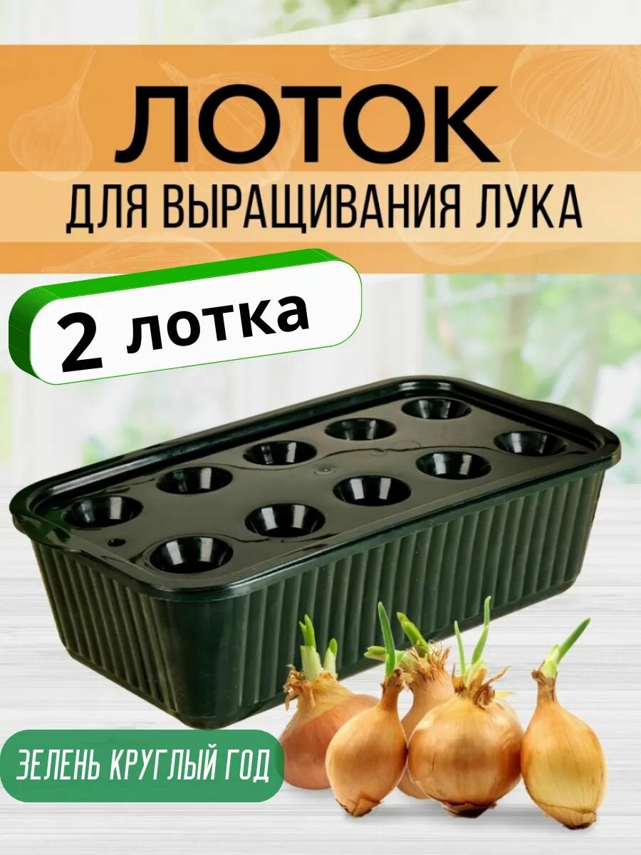 Лоток контейнер для выращивания зелёного лука, Лоток для комнатного выращивания зелени