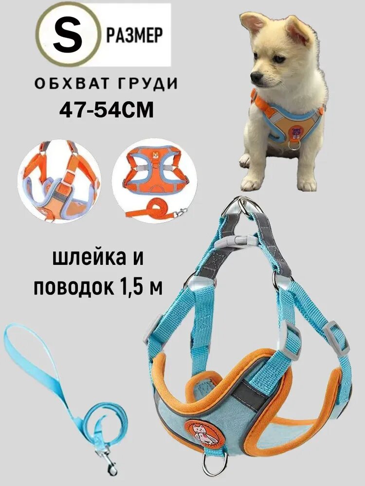 Шлейка для кошек с поводком, собак мелких пород. S. Обхват груди 47-54 см. синий
