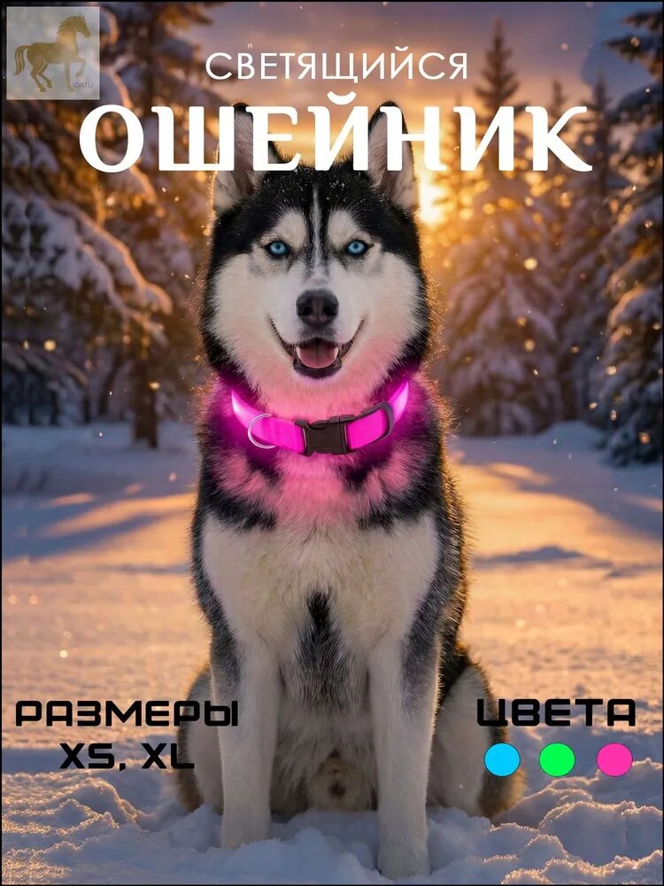 Светящийся розовый ошейник для собак, премиум