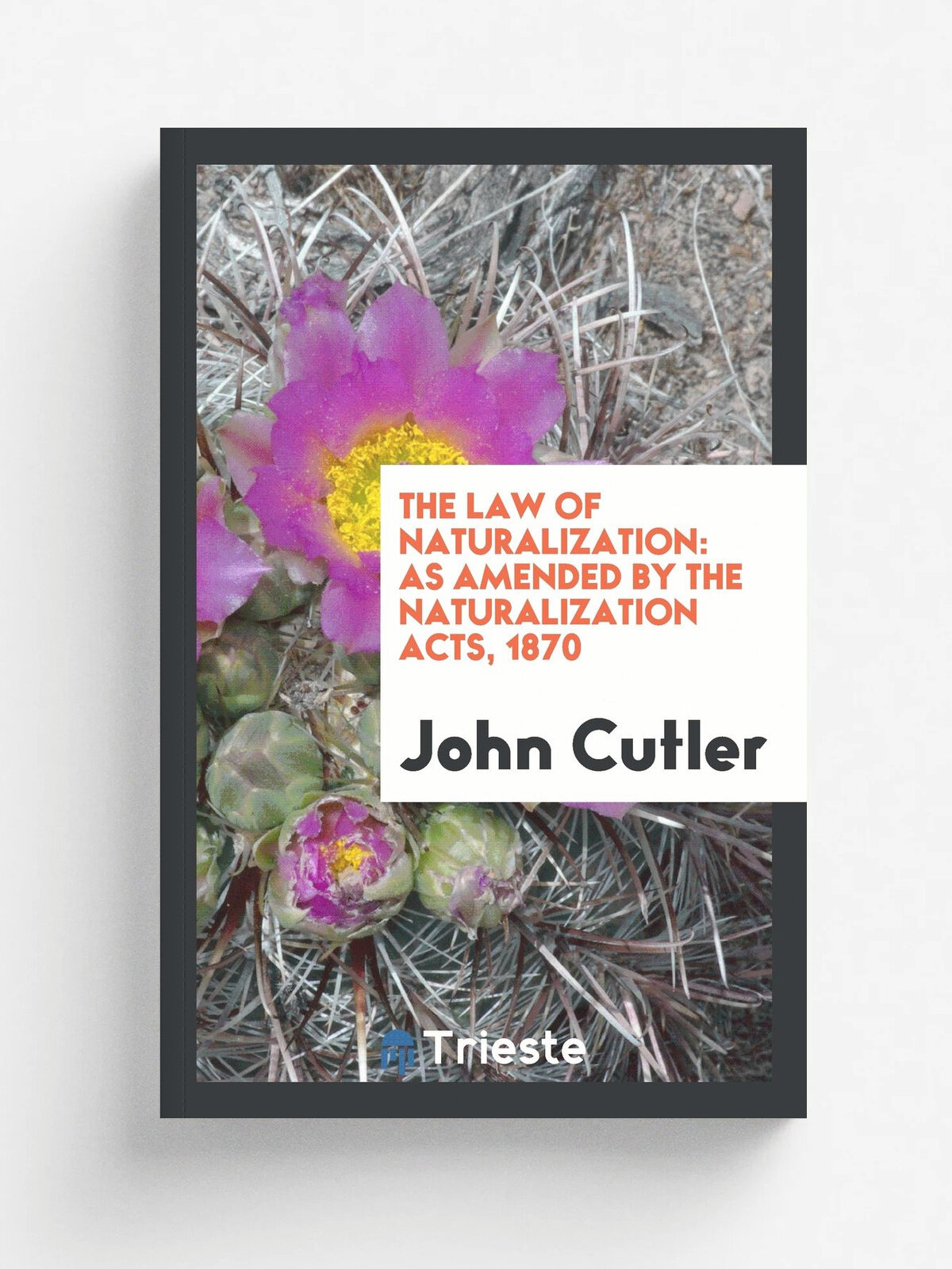The Law of Naturalization. As Amended by the Naturalization Acts, 1870