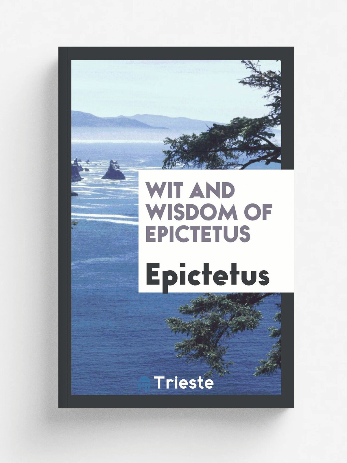 Wit and wisdom of Epictetus