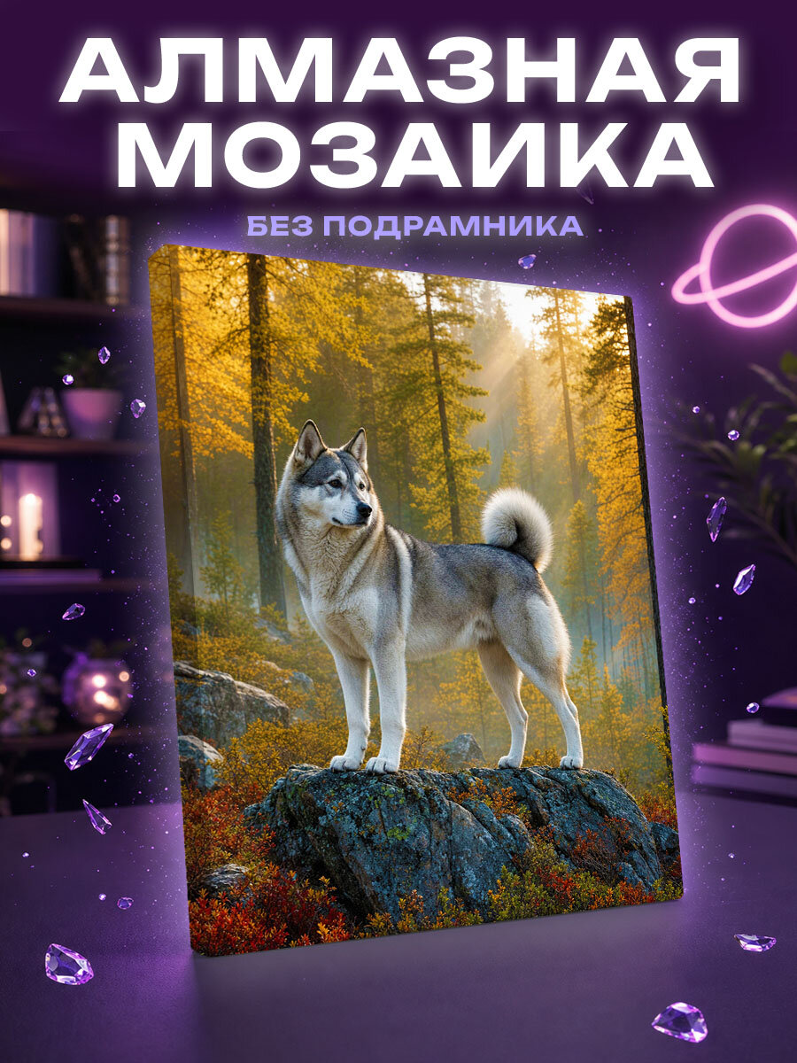 Алмазная мозаика Лайка над осенней тайгой