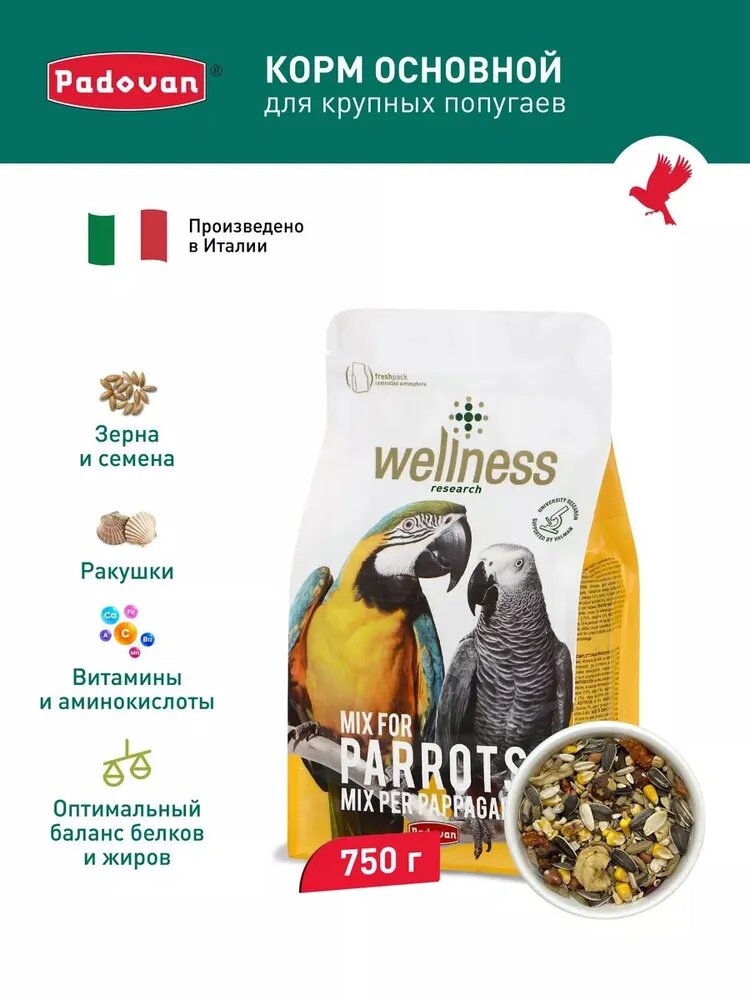 Корм для крупных попугаев Padovan Wellness MIX FOR PARROTS