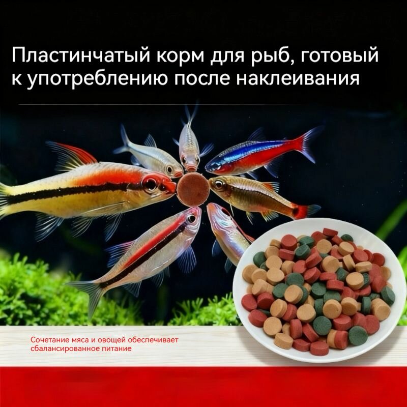 Корм-пластинки с артемией для мелких рыб, наклеивается на стекло для аквариума кормовые наклейки