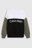 Толстовка Calvin Klein Jeans, размер 176, мультиколор