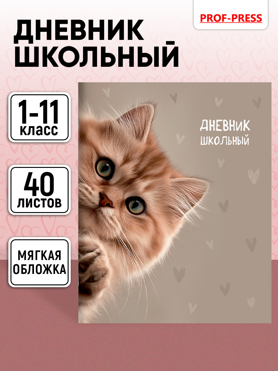 Дневник школьный для девочек 1-11 класс, канцелярия в школу, 40 листов, Prof-Press