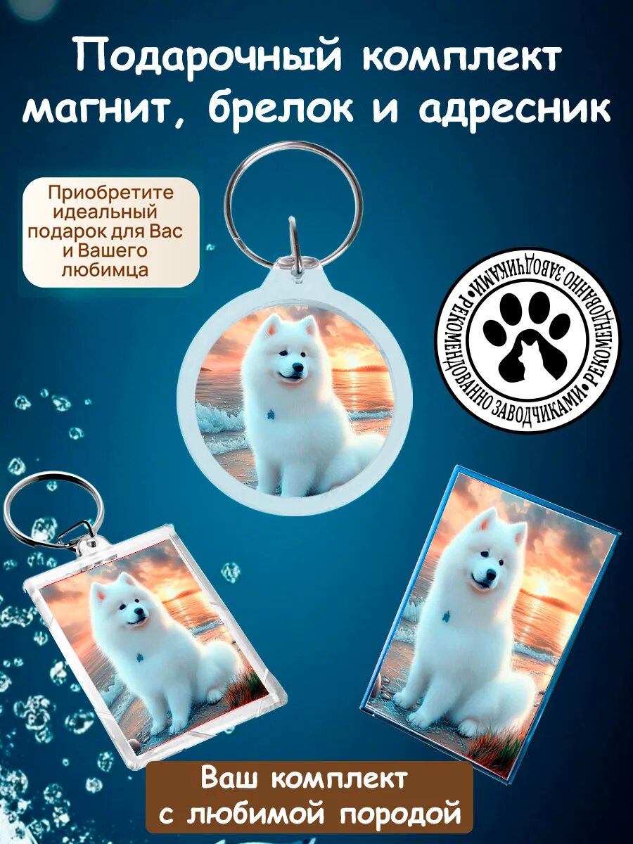 Подарочный комплект магнит брелок адресник
