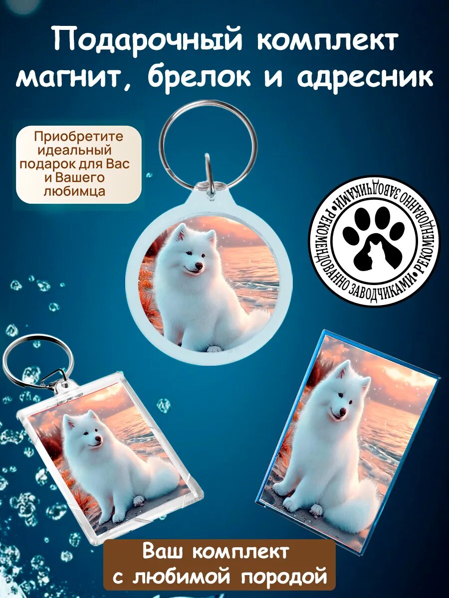Подарочный комплект магнит брелок адресник