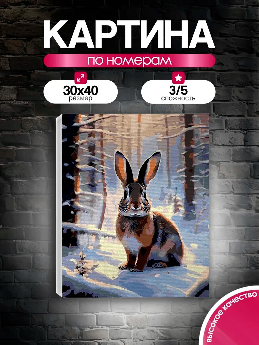 Картина по номерам 30x40 Заяц в лесу