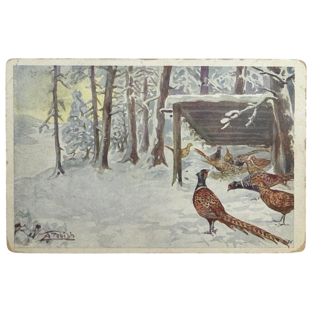 Почтовая открытка "Фазаны у лесной кормушки зимой" 1900-1913 гг. Германская Империя