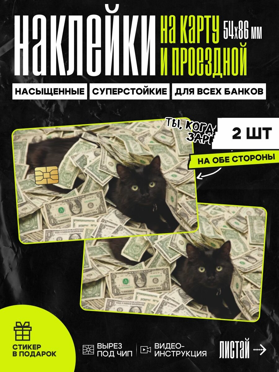 Наклейка на банковскую карту Кот с деньгами