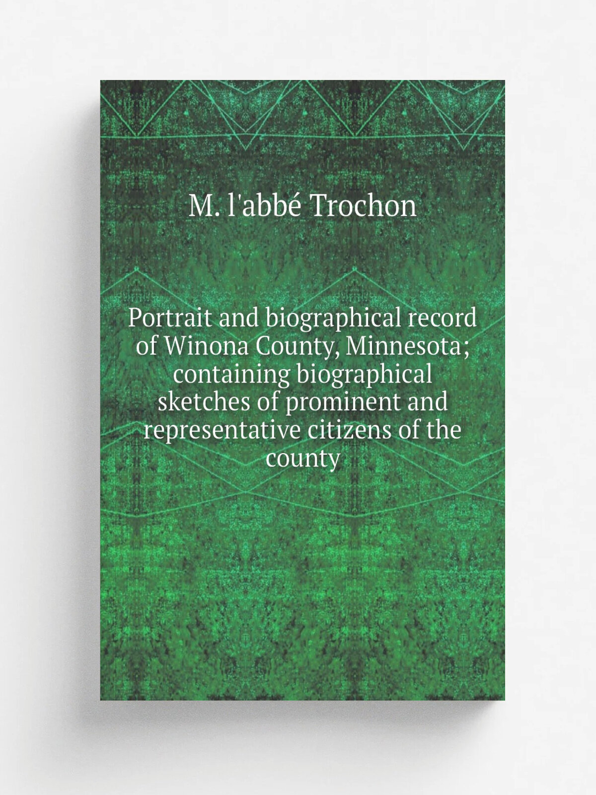 Portrait and biographical record of Winona County, Minnesota; containing biographical sketches of prominent and representative citizens of the county
