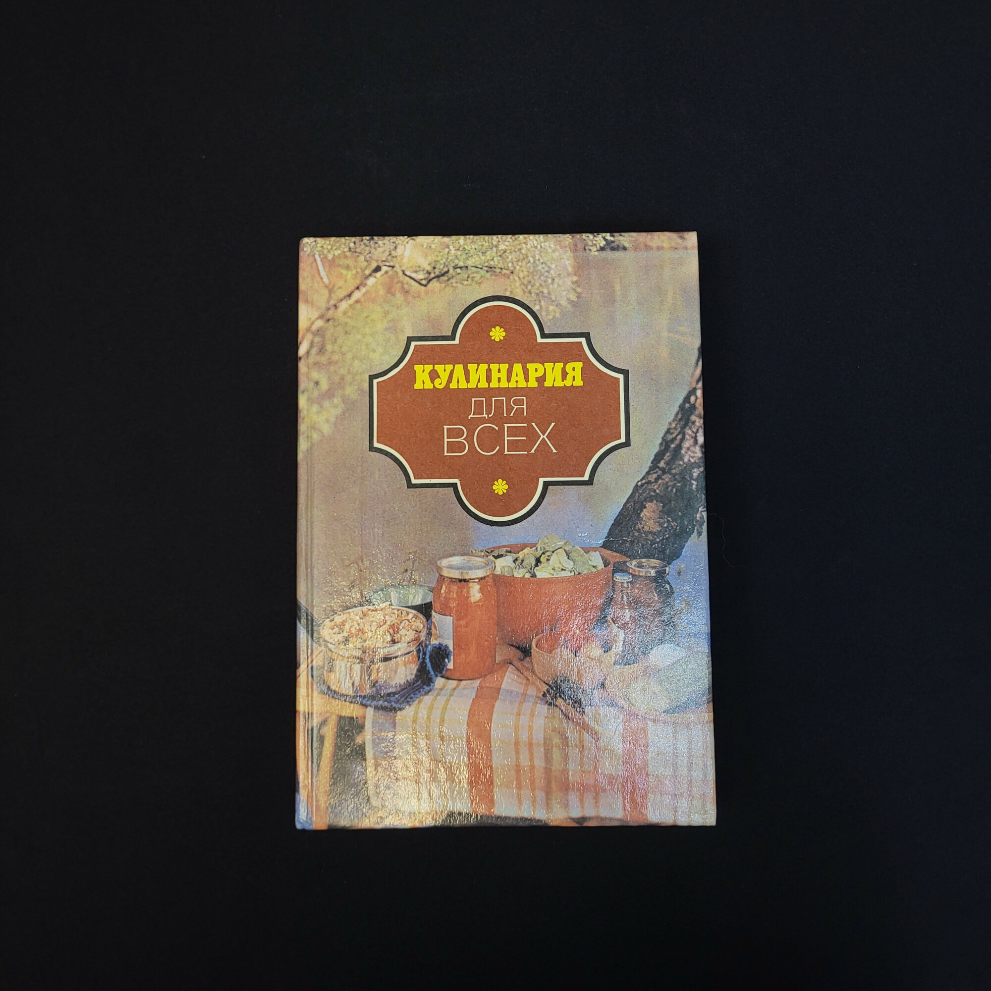 Эн Алькаев. Кулинария для всех. Книга, кулинария для дома и праздничного стола