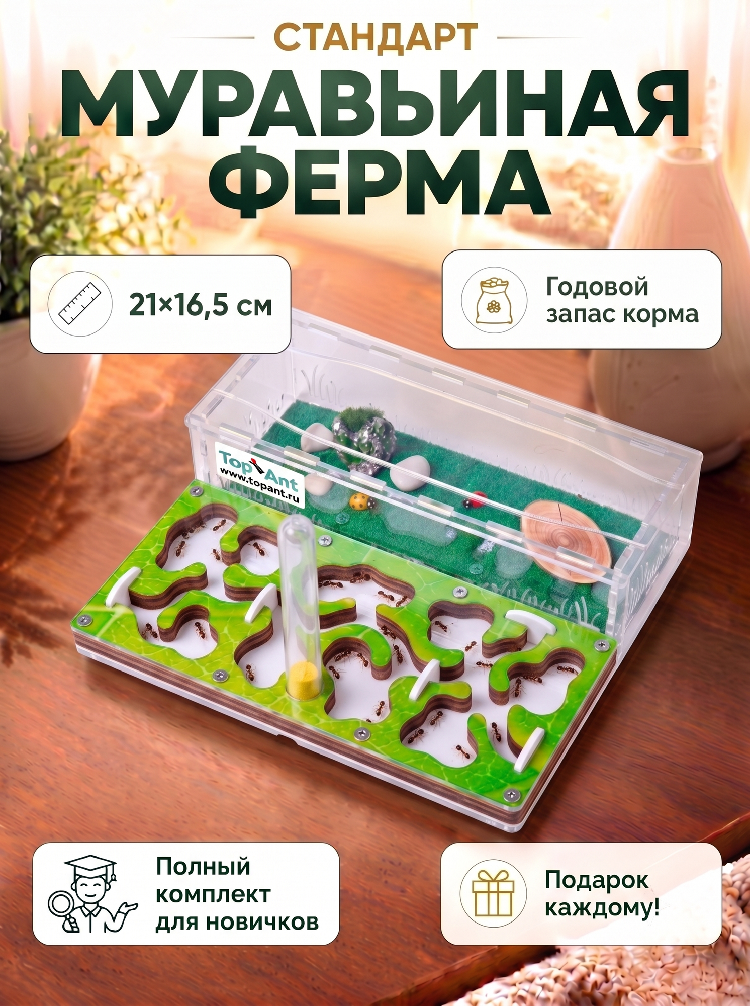 Стандартная муравьиная ферма максимальный комплект