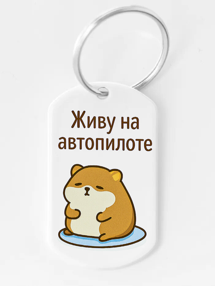 Брелок ZHENYA CLOUD